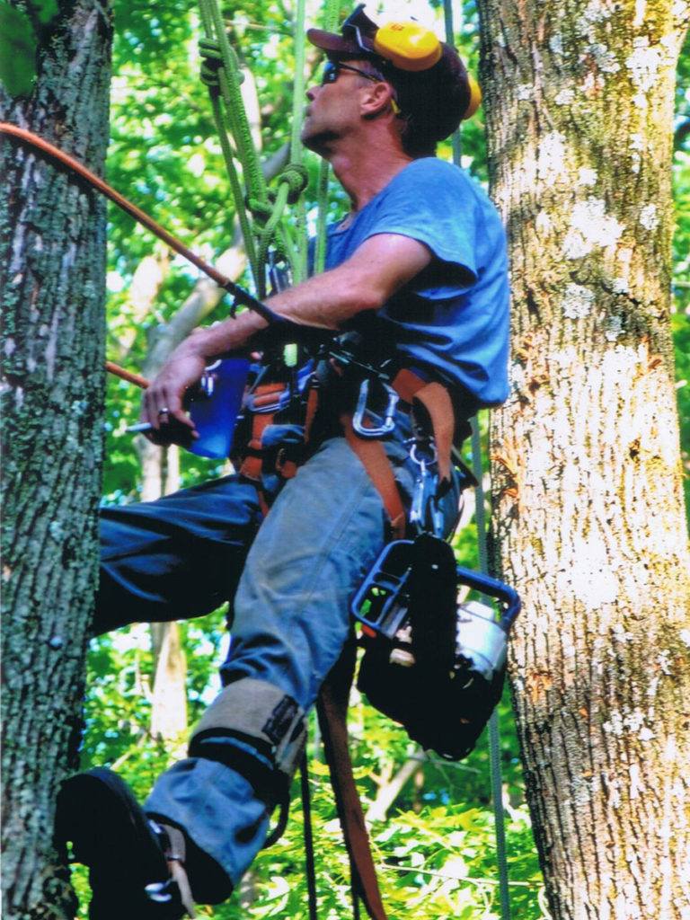 Suffern Tree Service